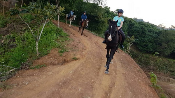 Chiang Mai Horse Riding : Chiang Mai Adventures