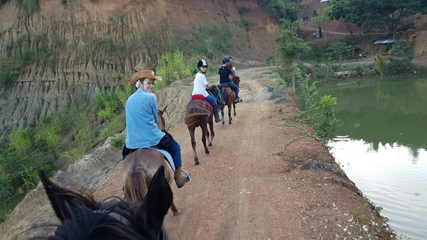 Chiang Mai Horse Riding : Chiang Mai Adventures