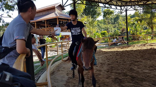 Chiang Mai Horse Riding : Chiang Mai Adventures