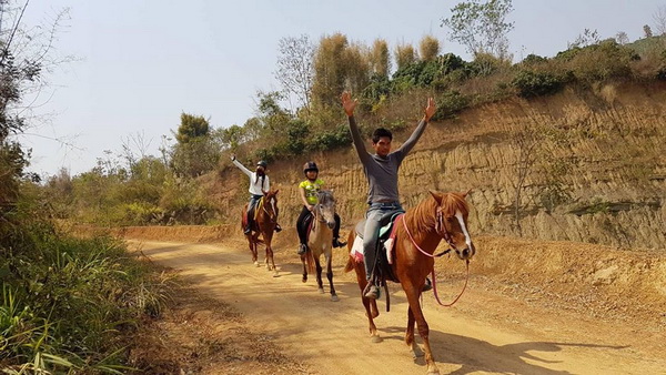 Chiang Mai Horse Riding : Chiang Mai Adventures