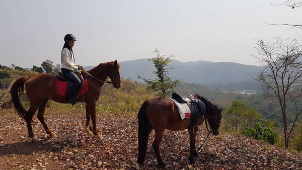 Chiang Mai Horse Riding : Chiang Mai Adventures