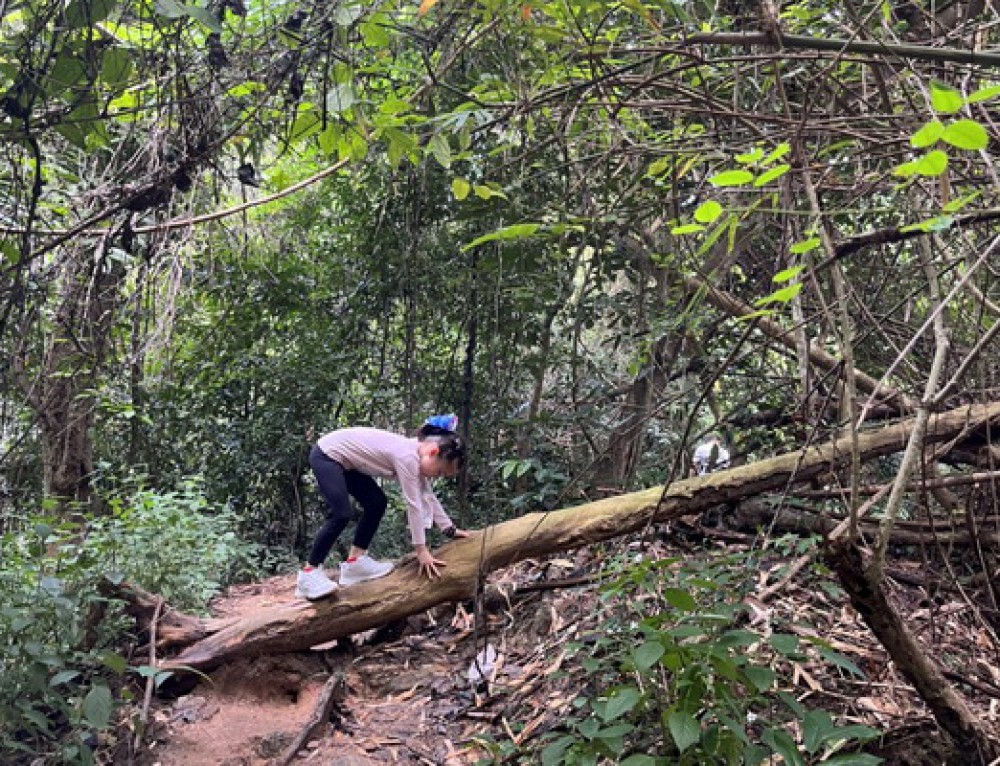 1 Day Chiang Mai Trek Mae Tang Area