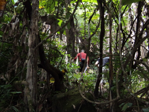 Trekking at Doi Pha Ngam : A Journey Through Two Seasons Cliff