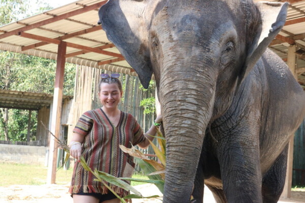Elephant Jungle Sanctuary Chiang Mai
