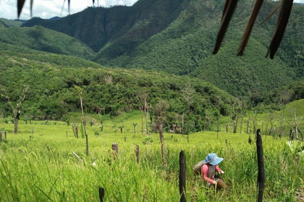 Ban Huay Hee A Hidden Cultural Gem in Mae Hong Son
