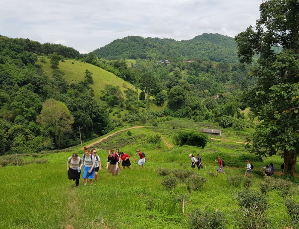 Chiang Rai 2 Days Trek – Tribal Villages & Nature